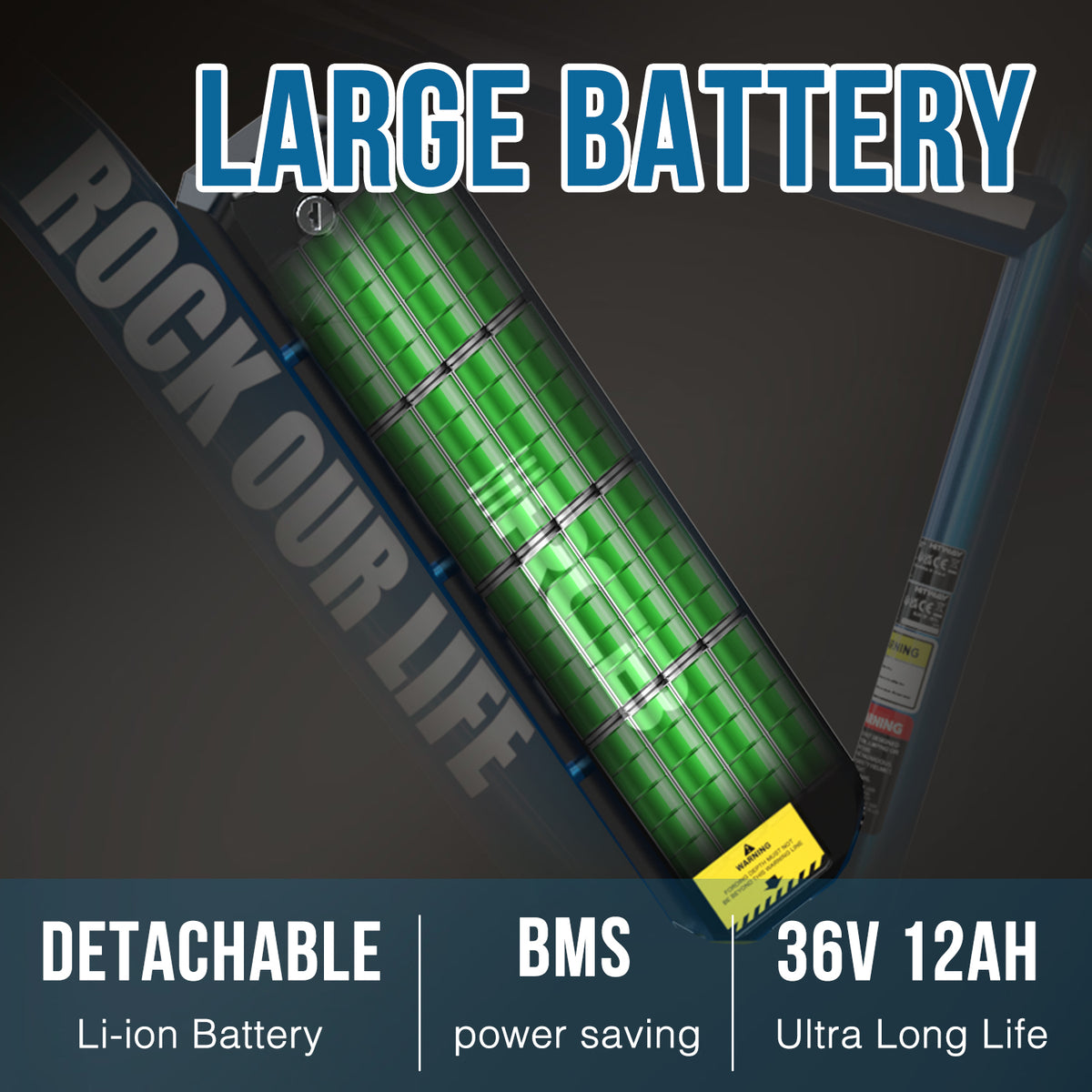 RCB RK15 Electric Bike for Adults(RCB E BIKE)