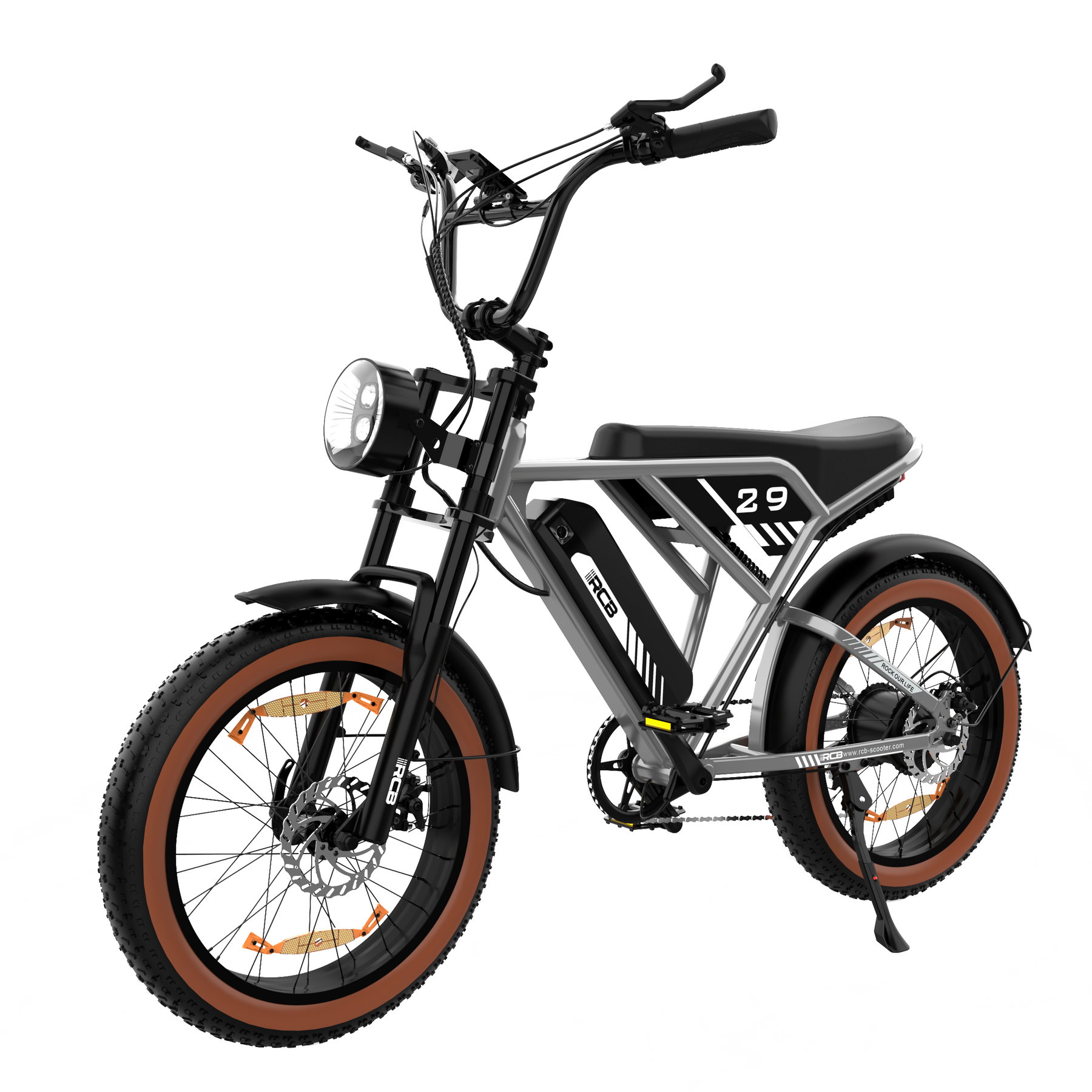 RCB RK29 Electric Bike for Adults(RCB E BIKE)