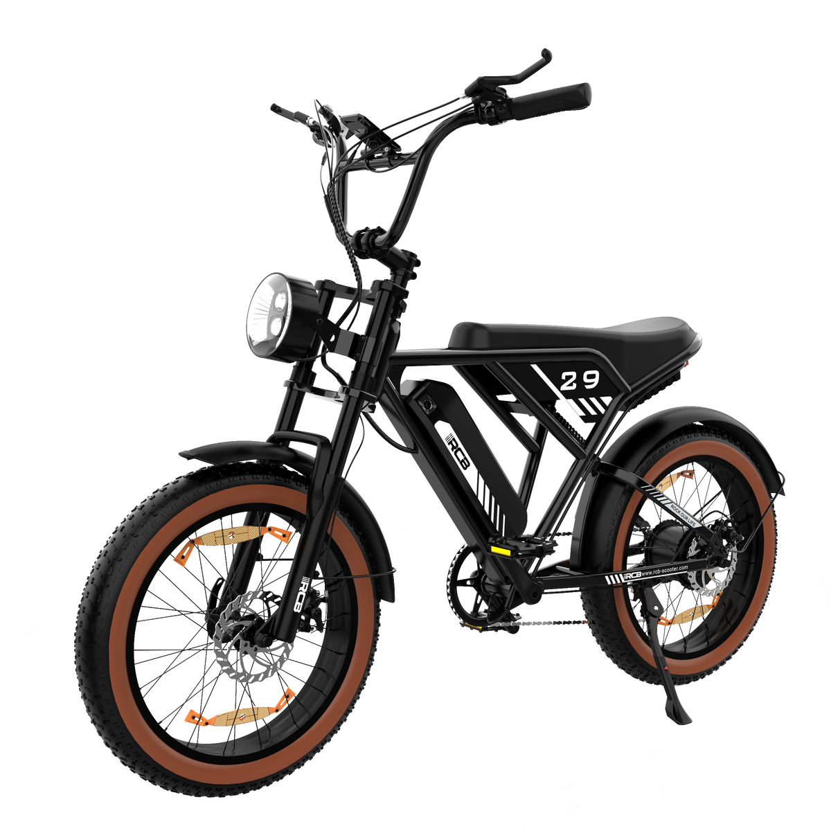 RCB RK29 Electric Bike for Adults(RCB E BIKE)